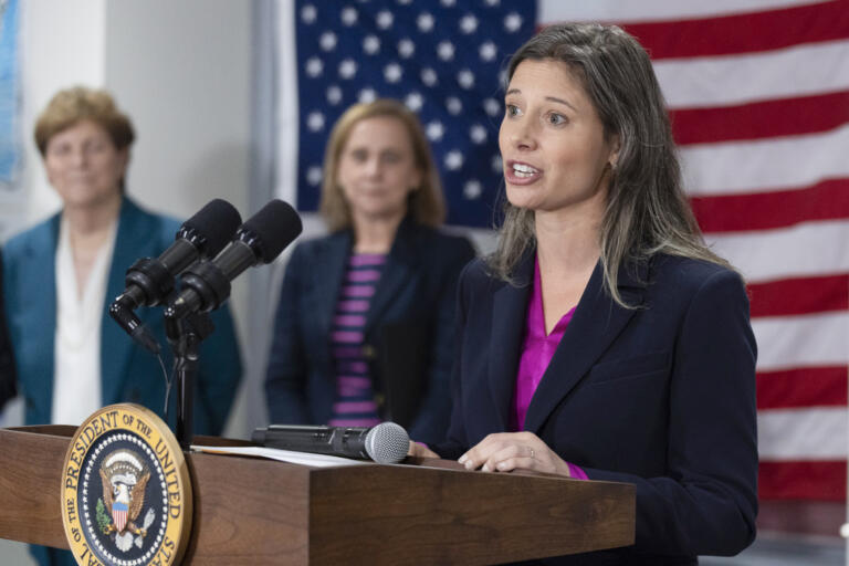 AP Race Call: Democrat Maggie Goodlander wins election to U.S. House in ...